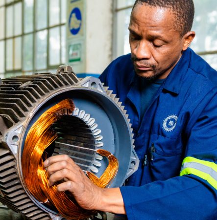 WESTPINE ARMATURE – WiNDERS & ENGINEERING